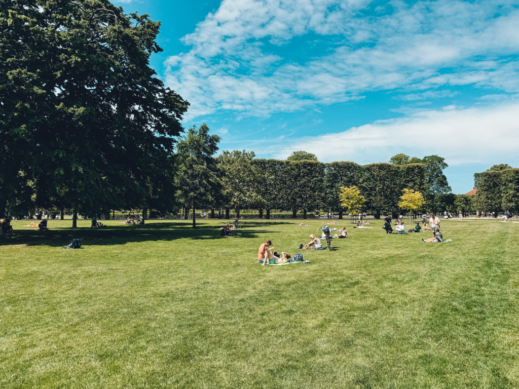 The Nap That Changed Everything 🌳 - thekittisisters.com